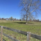 BWI Trail, Maryland - 2,822 Reviews, Map | AllTrails