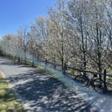 BWI Trail, Maryland - 2,822 Reviews, Map | AllTrails
