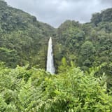 Akaka Falls Trail, Hawaii, Hawaii - 1,756 Reviews, Map | AllTrails