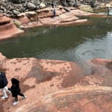 Slide Rock Trail, Arizona - 374 Reviews, Map | AllTrails