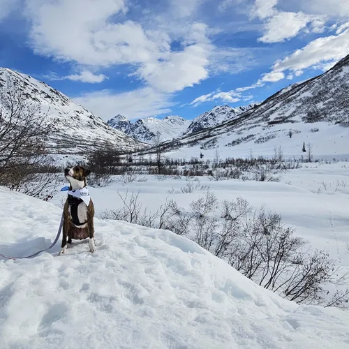 10 Best Hikes And Trails In Hatcher Pass East Management Area Alltrails