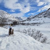 Mint Hut Via Gold Mint Trail, Alaska - 276 Reviews, Map | AllTrails