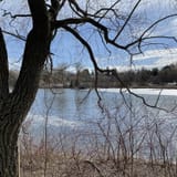 Toogood Pond Loop, Ontario, Canada - 532 Reviews, Map | AllTrails