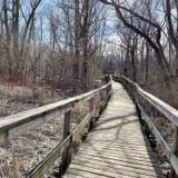 Toogood Pond Loop, Ontario, Canada - 532 Reviews, Map | AllTrails