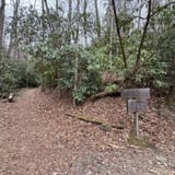 Deep Creek Loop Trail, North Carolina - 2,067 Reviews, Map | AllTrails
