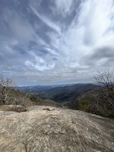 Best Hard Trails in Blue Ridge Wildlife Management Area | AllTrails