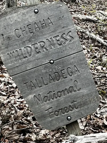 Best Views Trails in Cheaha Wilderness | AllTrails