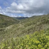 Corral Canyon Loop, California - 1,705 Reviews, Map | AllTrails