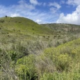 Corral Canyon Loop, California - 1,686 Reviews, Map | AllTrails
