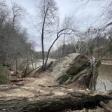 Turkey Run Outer Loop, Indiana - 634 Reviews, Map | AllTrails