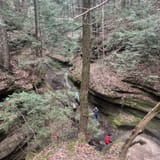 Turkey Run Outer Loop, Indiana - 618 Reviews, Map | AllTrails