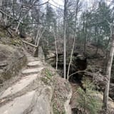 Turkey Run Outer Loop, Indiana - 634 Reviews, Map | AllTrails