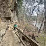 Turkey Run Outer Loop, Indiana - 634 Reviews, Map | AllTrails