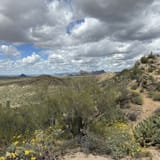 Valley View Overlook Trail, Arizona - 1,456 Reviews, Map | AllTrails