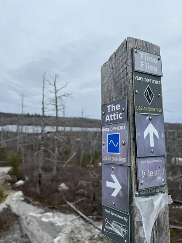 Best Hikes and Trails in Mcintosh Run Regional Park | AllTrails