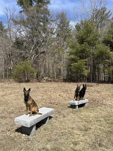 Best Hikes and Trails in Rutland State Park | AllTrails