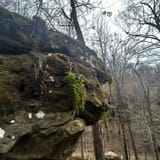 Hemlock Cliffs National Scenic Trail, Indiana - 1,267 Reviews, Map ...