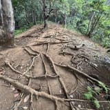 Waimano Falls Trail, Oahu, Hawaii - 4,815 Reviews, Map | AllTrails