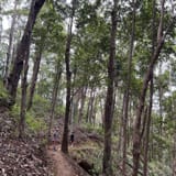 Waimano Falls Trail, Oahu, Hawaii - 4,759 Reviews, Map | AllTrails