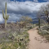Mica View and Cactus Forest Loop, Arizona - 1,426 Reviews, Map | AllTrails