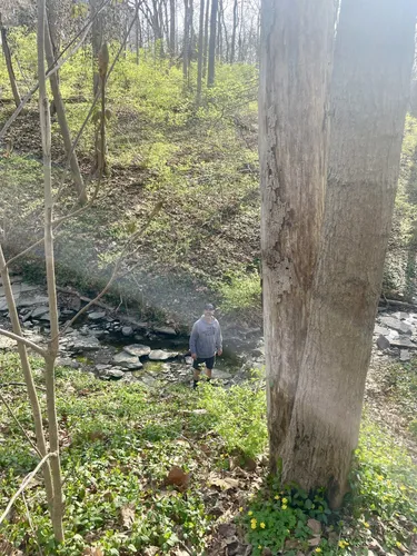 Best Hikes and Trails in Stanberry Park | AllTrails