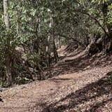 Deep Creek Loop Trail, North Carolina - 2,067 Reviews, Map | AllTrails