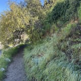 Lower Arroyo Seco Trail, California - 1,550 Reviews, Map | AllTrails