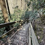 Hidden Arch Trail, Kentucky - 1,081 Reviews, Map | AllTrails