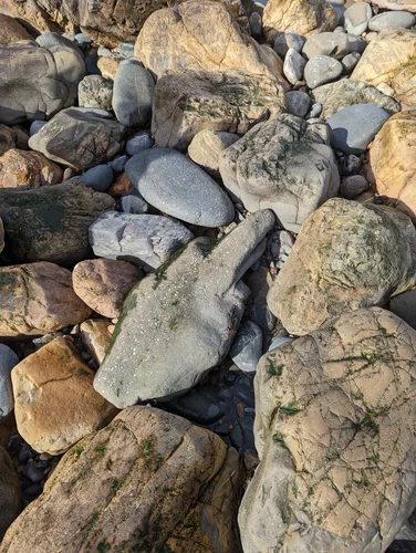 Best Hikes and Trails in Marginal Way Walkway | AllTrails