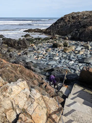 Best Hikes and Trails in Marginal Way Walkway | AllTrails