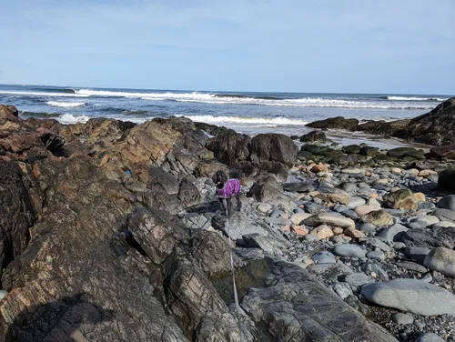 Best Hikes and Trails in Marginal Way Walkway | AllTrails