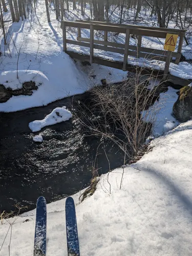 Best Walking Trails in Ballston Lake | AllTrails