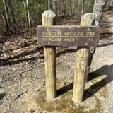 Princess Arch Trail, Kentucky - 1,239 Reviews, Map | AllTrails
