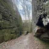 Panther Den Loop, Illinois - 946 Reviews, Map | AllTrails