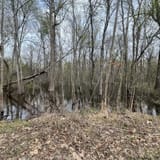 Collierville Greenbelt, Tennessee - 87 Reviews, Map | AllTrails