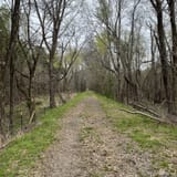 Collierville Greenbelt, Tennessee - 87 Reviews, Map | AllTrails