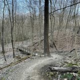 Salt Run, Ohio - 1,174 Reviews, Map | AllTrails