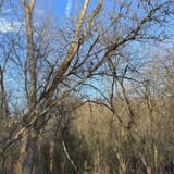 Salt Run, Ohio - 1,174 Reviews, Map | AllTrails