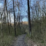 Salt Run, Ohio - 1,174 Reviews, Map | AllTrails