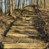 Salt Run, Ohio - 1,174 Reviews, Map | AllTrails