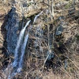 Lewis Spring Falls Trail, Virginia - 1,351 Reviews, Map | AllTrails