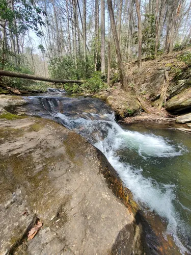 Best Walking Trails in Chestatee Wildlife Management Area | AllTrails