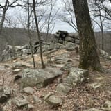White Trail Loop, Maryland - 1,324 Reviews, Map | AllTrails