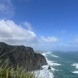 Mercer Bay Loop Track, Auckland, New Zealand - 634 Reviews, Map | AllTrails