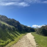 Brush Canyon Trail and Mount Bell Loop, California - 374 Reviews, Map ...