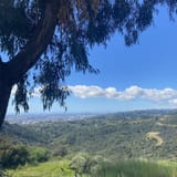 Brush Canyon Trail and Mount Bell Loop, California - 372 Reviews, Map ...