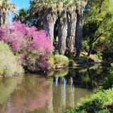 UC Davis Arboretum Trail, California - 1,338 Reviews, Map | AllTrails