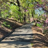 UC Davis Arboretum Trail, California - 1,338 Reviews, Map | AllTrails