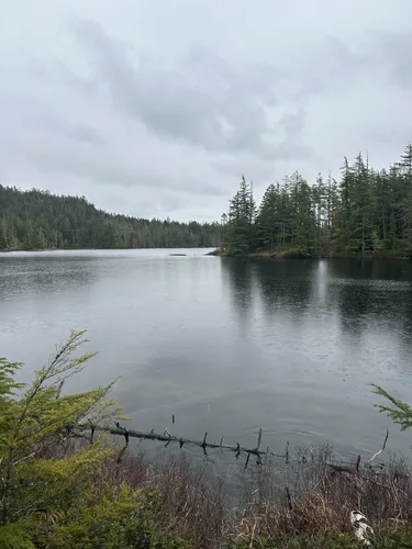 Best Hikes and Trails in Sooke Mountain Provincial Park | AllTrails