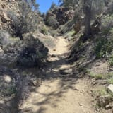 Panorama Loop, California - 2,889 Reviews, Map | AllTrails